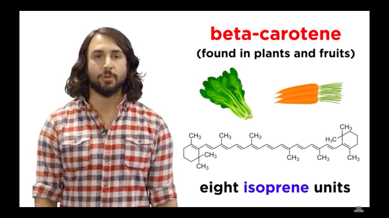Lipids Part 1: TAGs, Fatty Acids, and Terpenes