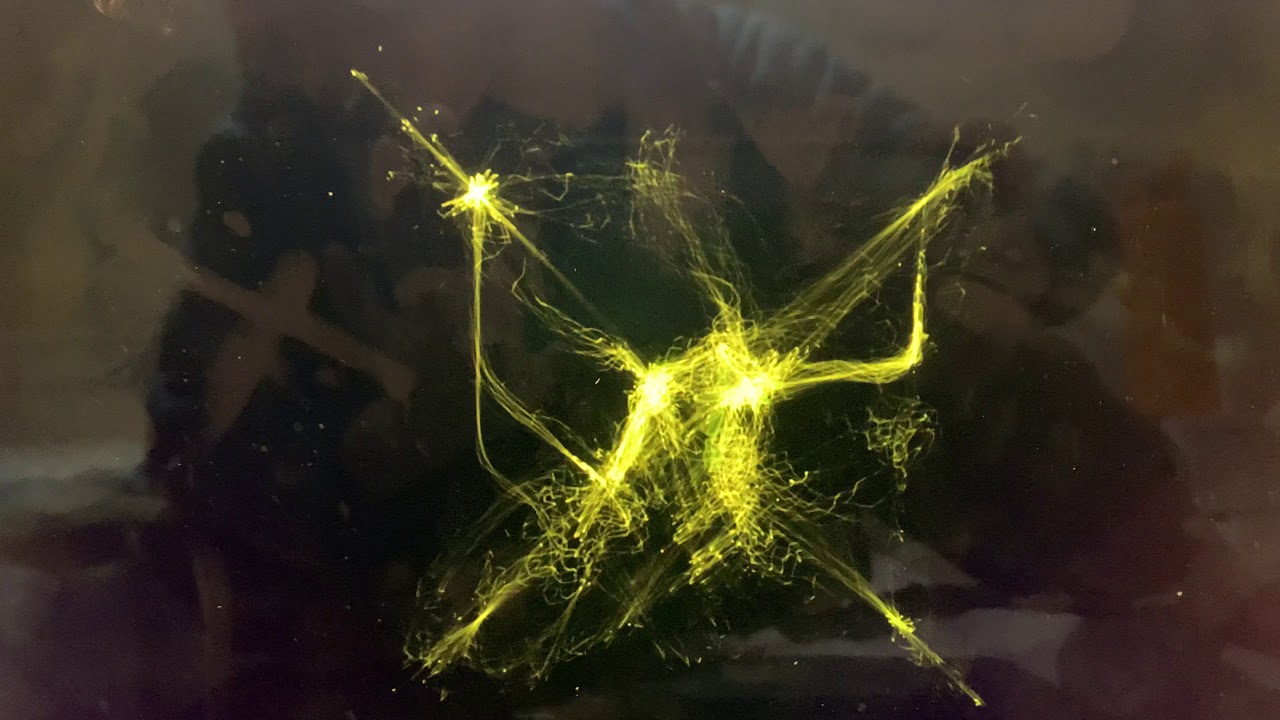 OSCI STUDIO EXPERIMENTS-Disintegrating Shapes