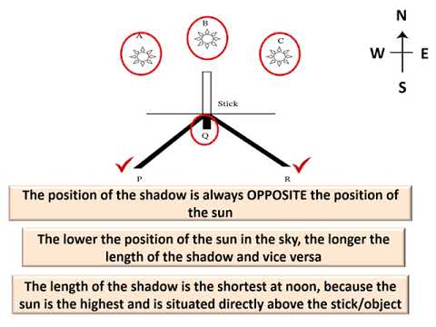 ROTATION AND REVOLUTION OF THE EARTH SCIENCE YEAR 4 DLP