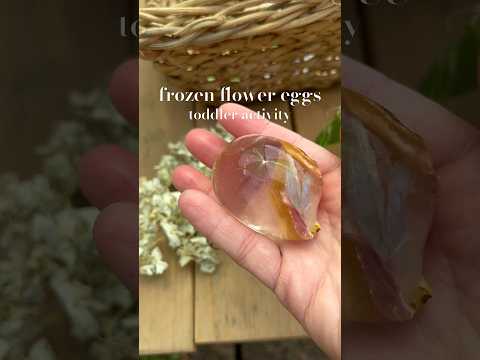 Frozen Flower Eggs