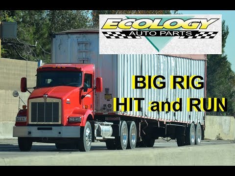 Ecology Auto Parts Driver- Hit and Run in Echo Park - Ecology Auto Parts company wide cover up.