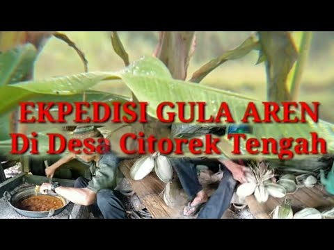 Desa Wisata Citorek