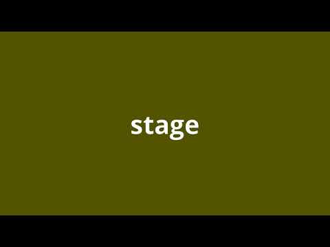 what is the meaning of stage.