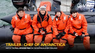 Chef of Antarctica - streaming tv show online