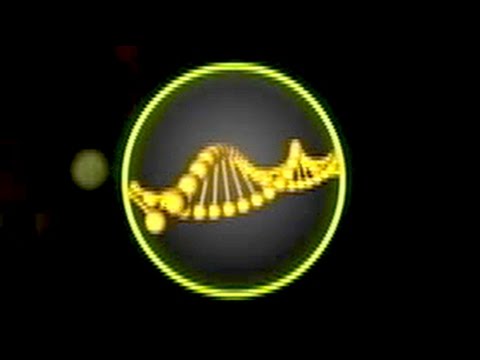 DNA fitness testing