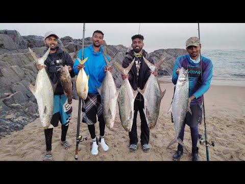 SARDINE RUN FISHING 2025! GAME FISH WERE WILD! #catchandrelease#garrick#kingfish#sardinerun2025