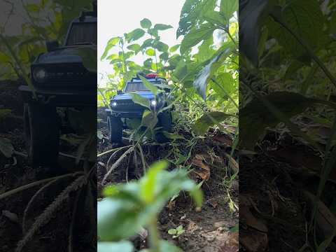 Scx 24 Bronco hardcore decent #axial #scx24 #scx24bronco #rockcrawler #rc #rcoffroad #axialrc