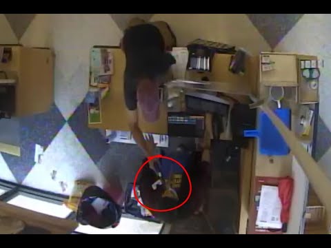 Aggravated robbery at a pet store located at the 7500 block of Westheimer. Houston PD #707227-21