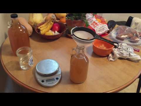 High-Alcohol Water Kefir – Fermenters Club