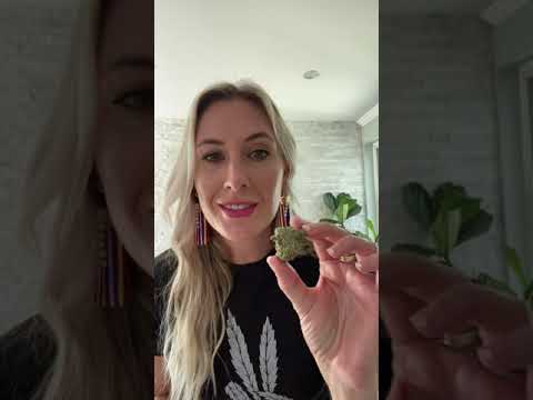 THC Tolerance and What are T-Breaks – Florida Marijuana Mentor