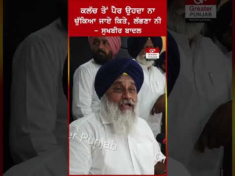 Sukhbir singh badal about Bhagwant Mann's statement about Hotel Sukhvilas #news #punjab