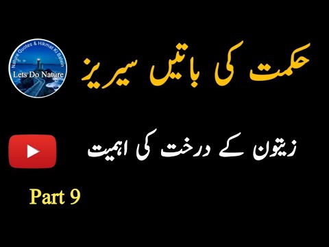 Great Importance Of Olives Tree And Oil In Urdu | Hikmat Ki Batein | Lets Do Nature