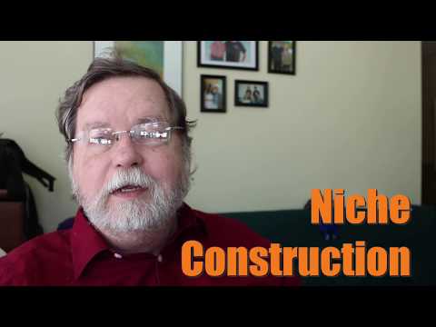 Niche Construction