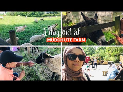 Mudchute farm Docklands in East London | half term school holidays UK #placestovisit #withfamily