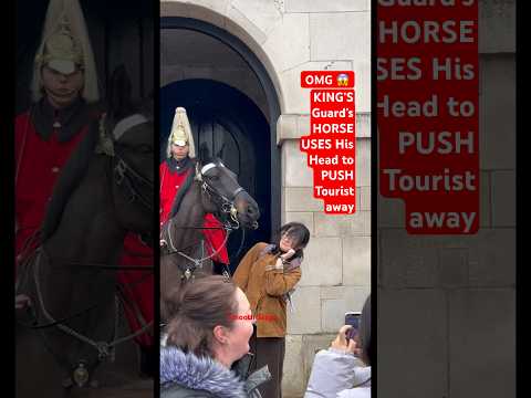 OMG???? She nearly hit By HORSE’S Head #kingsguard #horse #guard #horseguards #horseguardsparade
