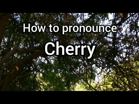 How to Pronounce Cherry