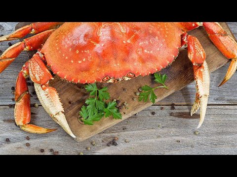 Costco whole crab is now $9.99 from $19.99 a few days ago. Get crackin 🦀💙