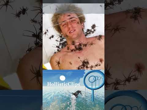 Mr.Beast Covers a Contestant Entire Body in Real Spiders for 800,000 USD. WOuld you do it? #india