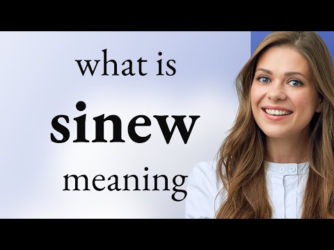 Sinew — SINEW definition