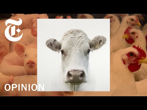 Meet the People Getting Paid to Kill Our Planet | NYT Opinion