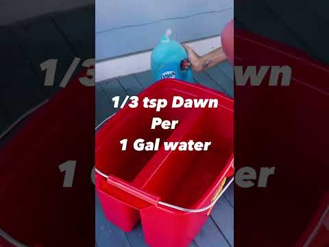 The Best Window Cleaning Solution