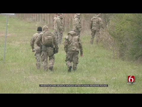 Investigators Search Woods After Human Remains Found