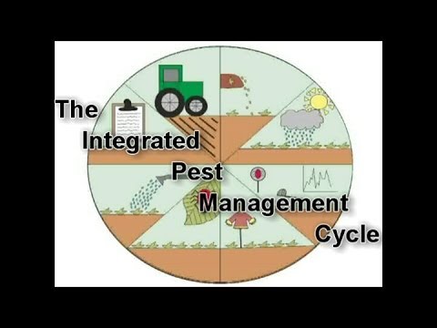 Integrated Pest Management Cycle (IPM) for A-level