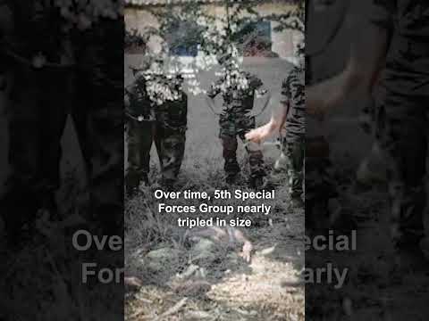 5th Special Forces Group in Vietnam