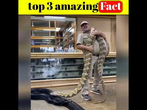 top 3 amazing fact 🤔 #viral #shorts #ytshorts #facts