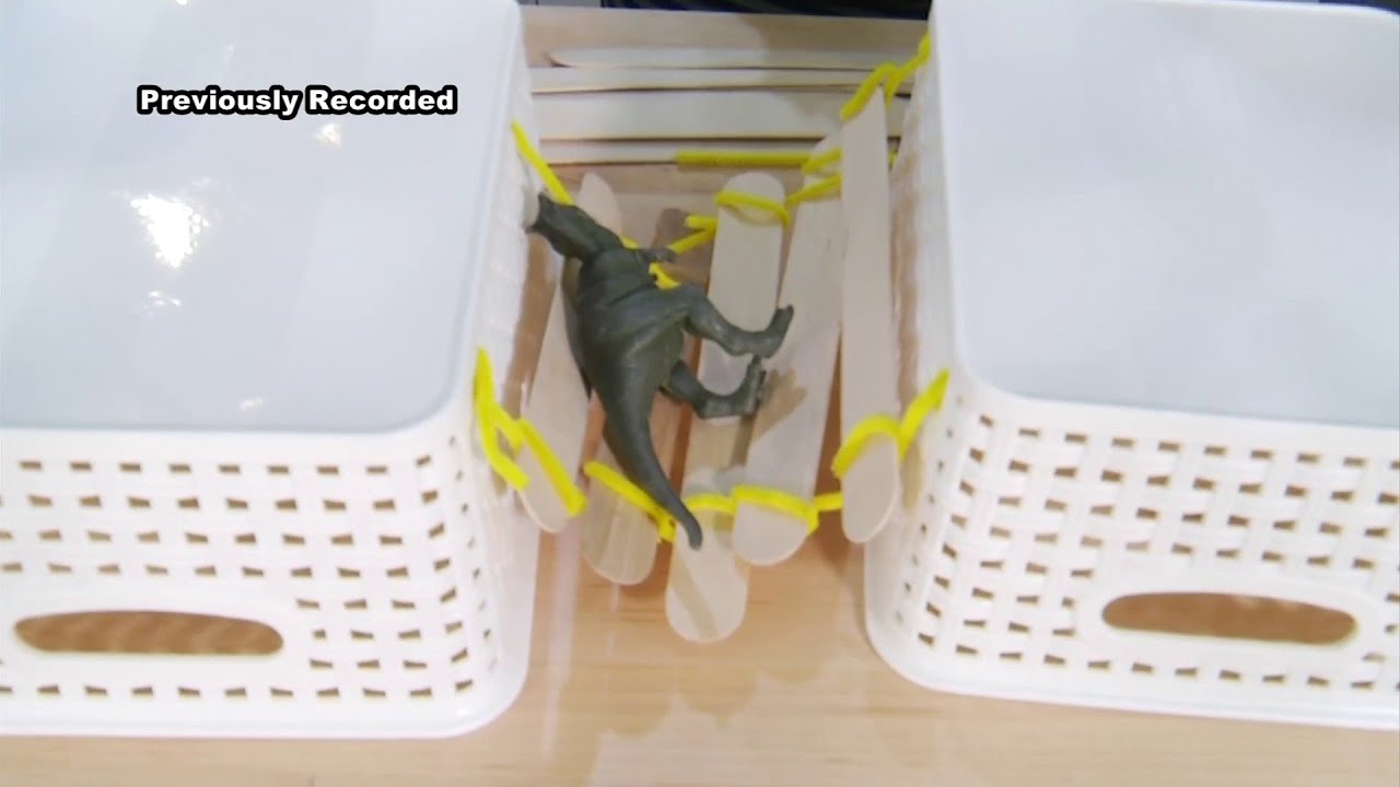 Women's History Month engineering project you can do from home