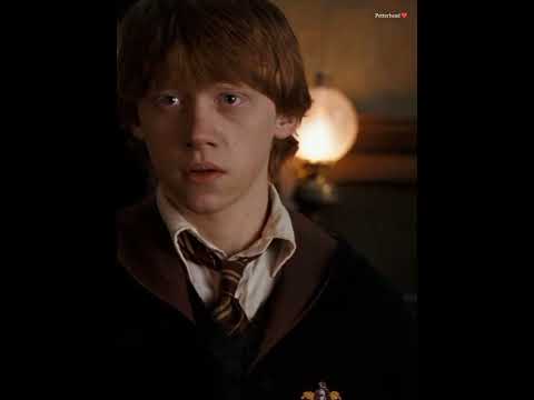 #POV Neville and Ron messed the group assignment, and now they're scared Y/n's gonna Flip out...
