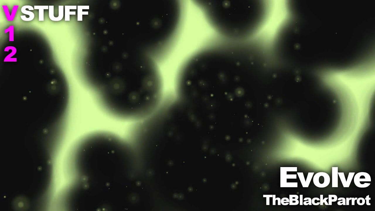 TheBlackParrot - Evolve