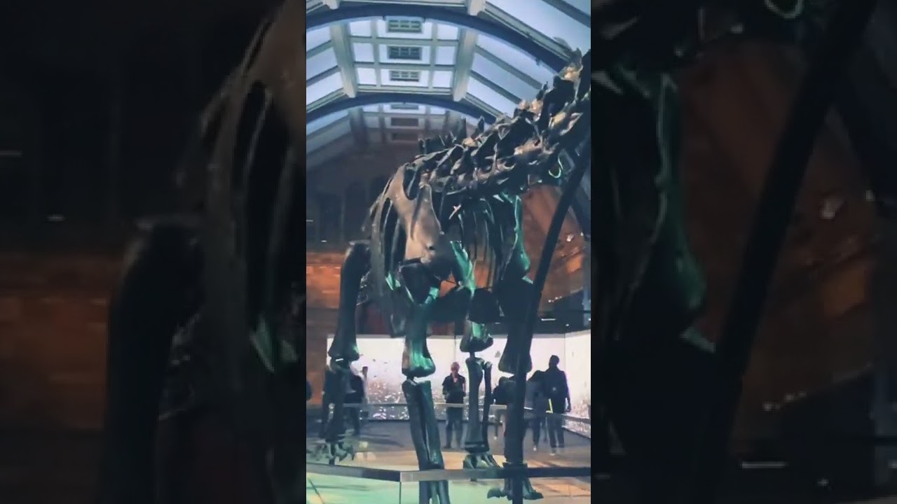 Dippy the Dinosaur (Diplodocus Carnegii) at the Natural History Museum, London