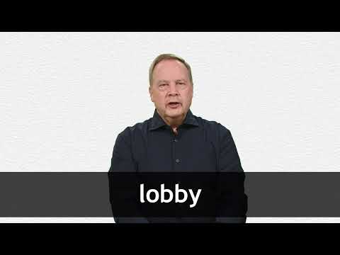 LOBBY definition and meaning | Collins English Dictionary