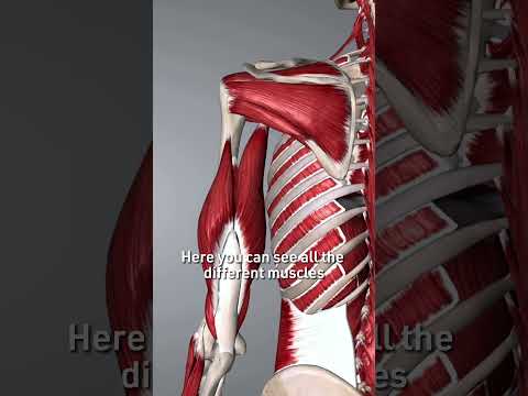Try this Muscle Scraping Routine for Shoulder Impingement