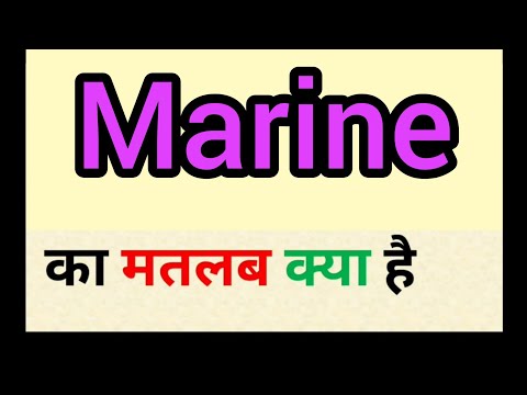 Marine meaning in hindi || marine ka matlab kya hota hai || word meaning english to hindi