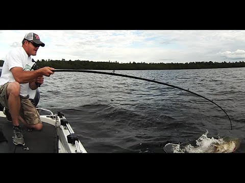 EVERY CAST, the Big V