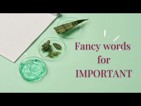 Another word for IMPORTANT||fancy words||#Vocabularies||synonym of IMPORTANT