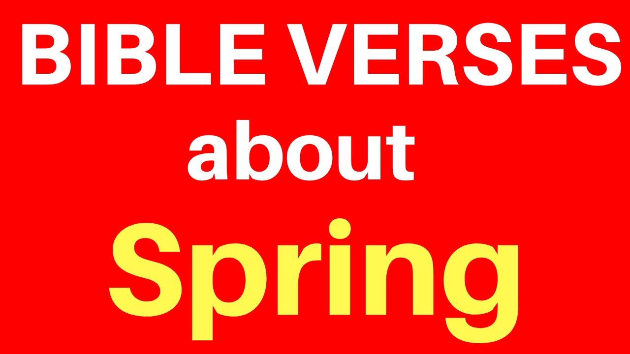 10 Bible Verses About Spring | Get Encouraged