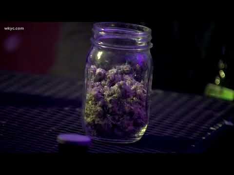Ohio selects 12 businesses to grow medical marijuana
