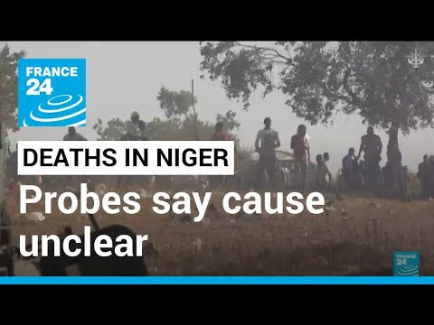 Probes into anti-France demo deaths in Niger say cause unclear • FRANCE 24 English