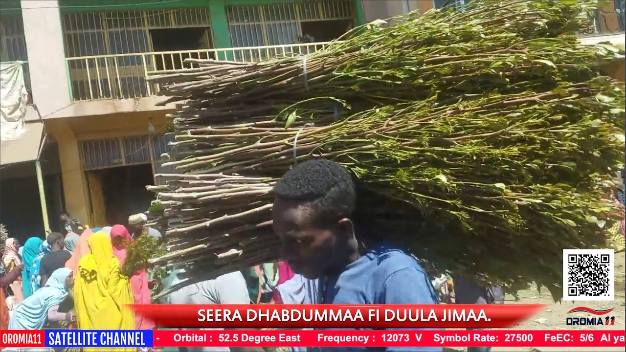 OROMIA11: SEERA DHABDUMMAA FI DUULA JIMAA.