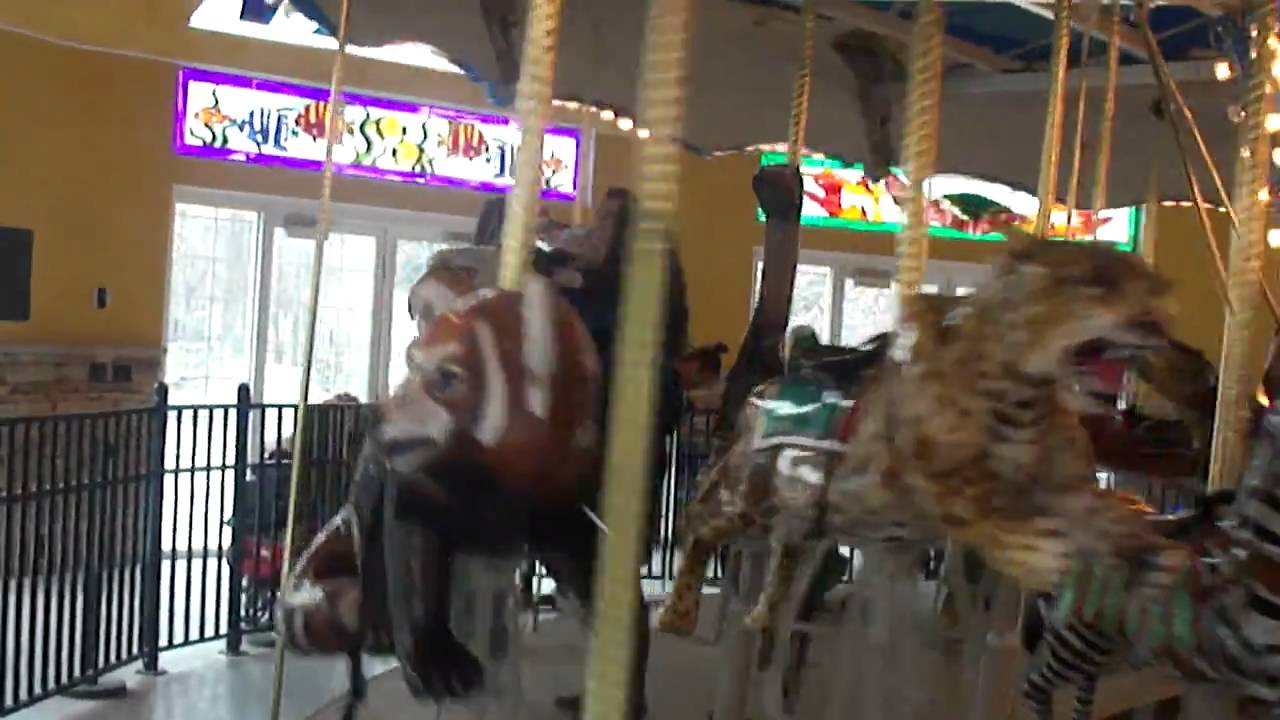 Xaia on the Carousel