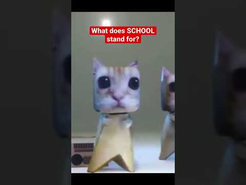 What does school stand for