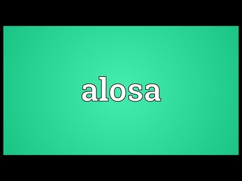 Alosa Meaning