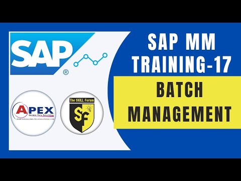 Batch Management in SAP MM