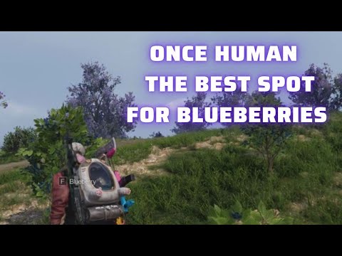Steam Community :: Video :: Once Human - The Best Spot for Blueberries
