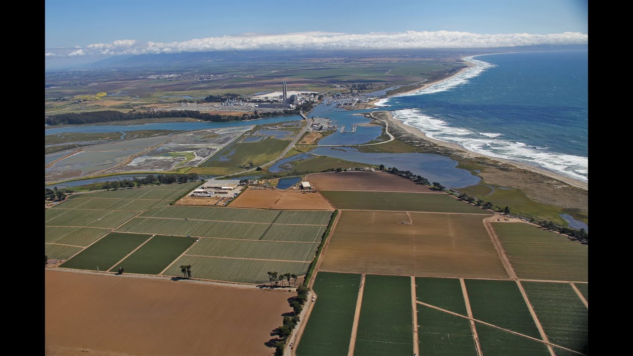West Coast Ecosystem-Based Management Network