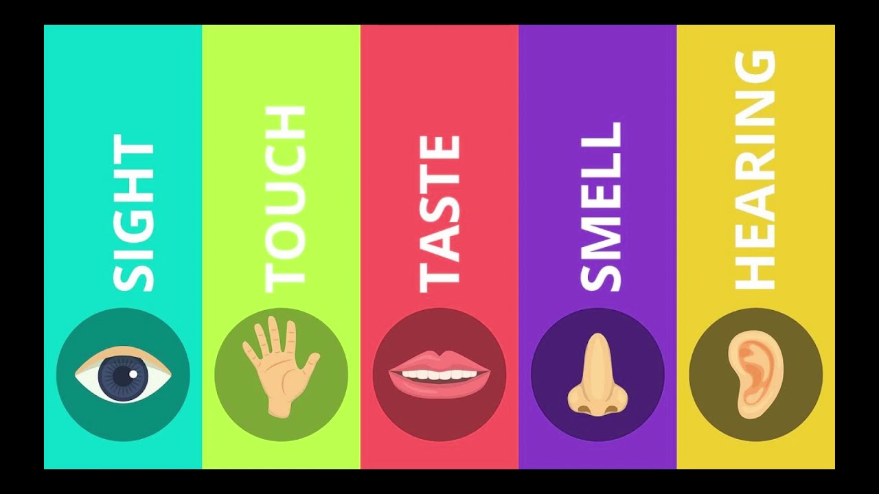 Sensory Details Walkthrough