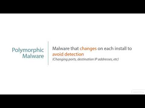 009 Polymorphic Malware and Armored Virus